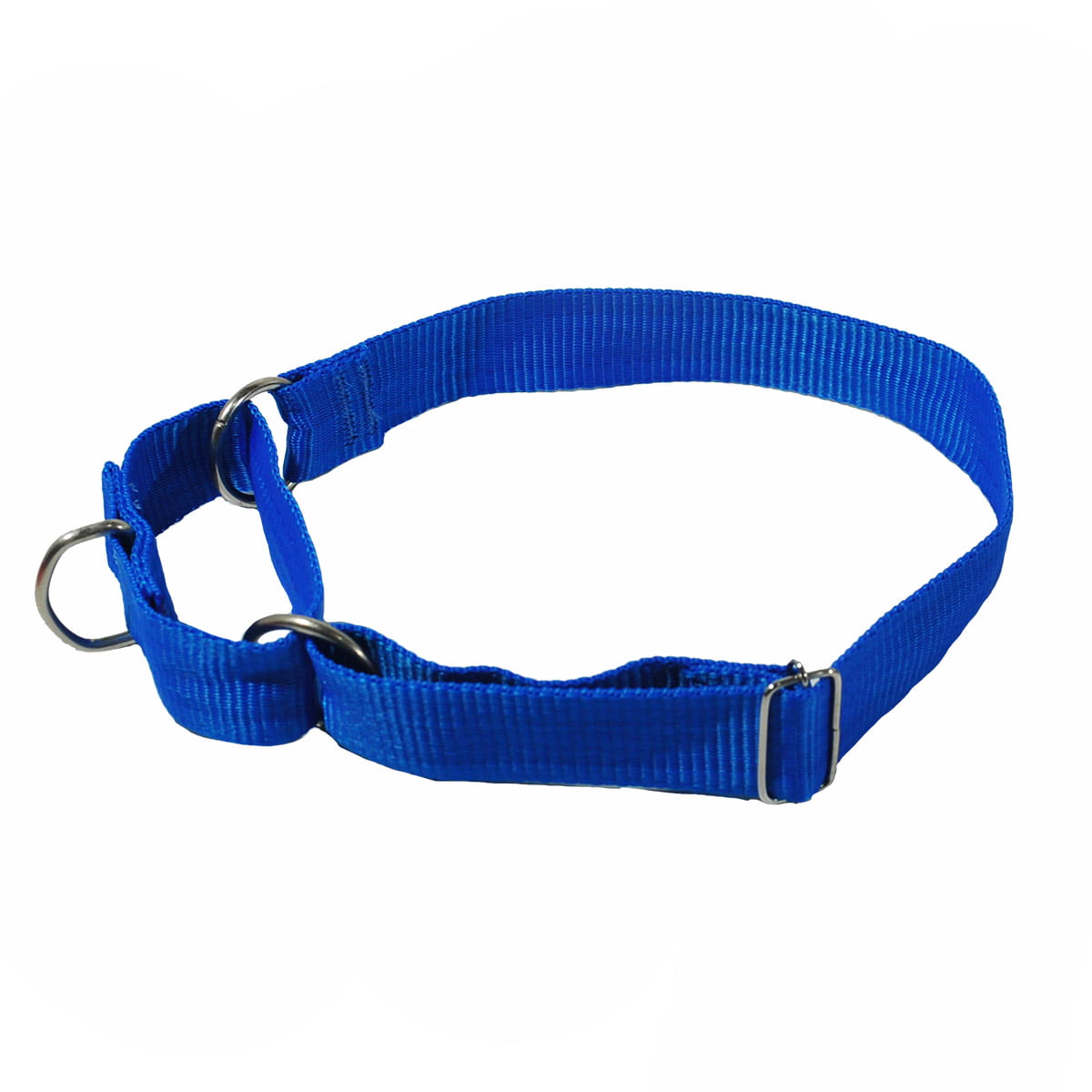 Coleira Belga Enforcador Nylon M - 1 Un. - Aumente seu Faturamento com ...